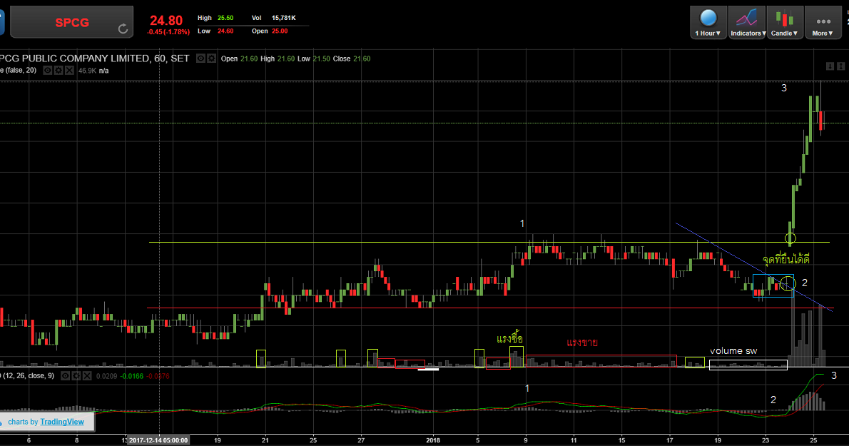 พรานล่าหุ้น: กรณีศึกษาหุ้น SPCG
