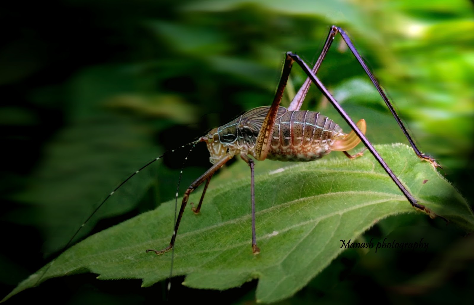 The Living Life In a Frame