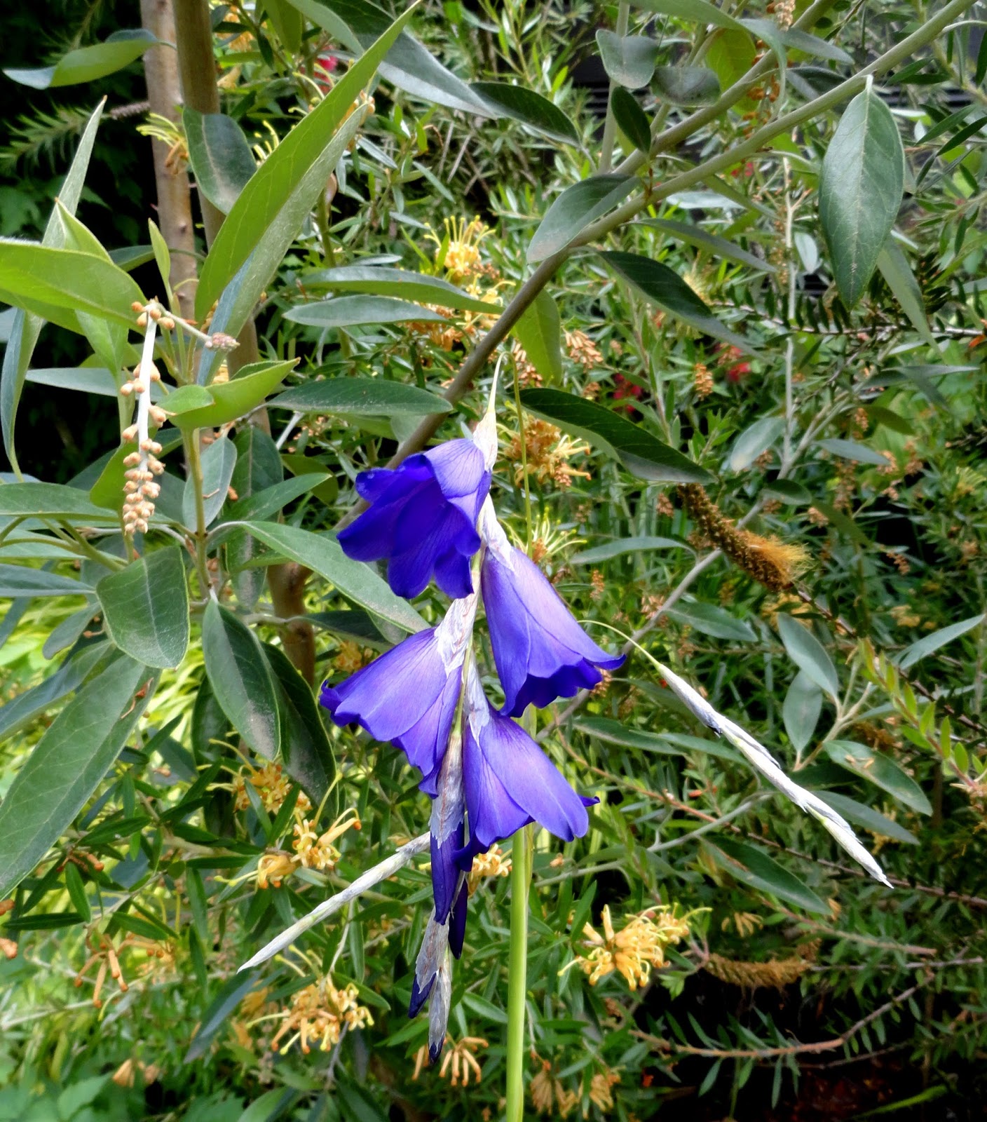 danger garden: It’s the last Friday of the month and that means ...