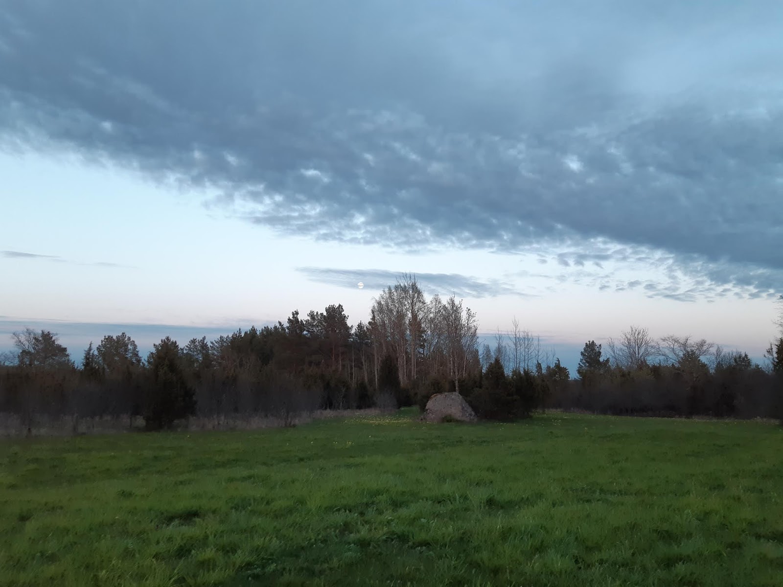 Suvehiidlane: Sa pole Hiiumaal käinud...