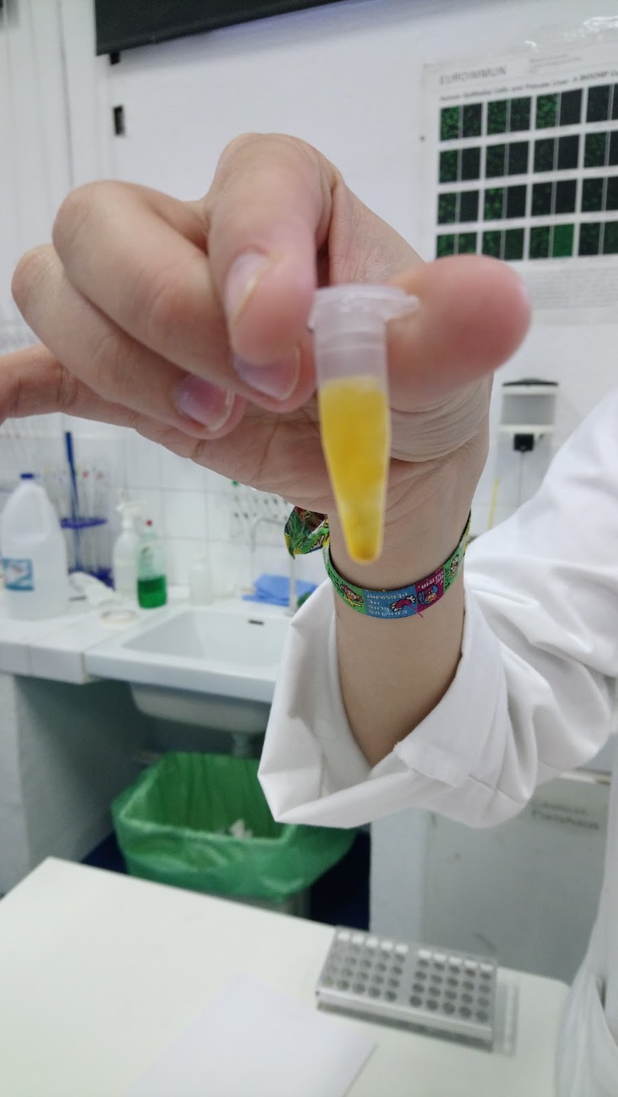 CUADERNO DE PRÁCTICAS BIOQUÍMICA