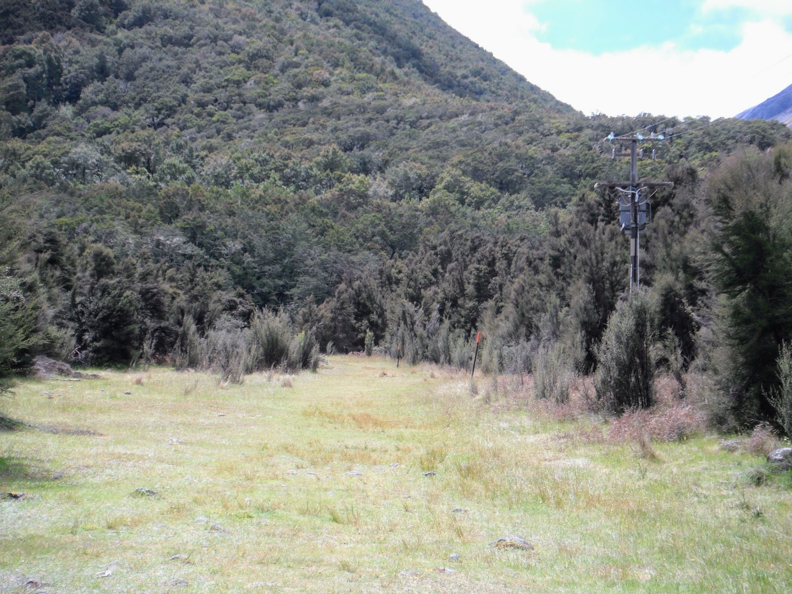 Tramping in the New Zealand backcountry: NZ Bush Adventures: Boyle ...