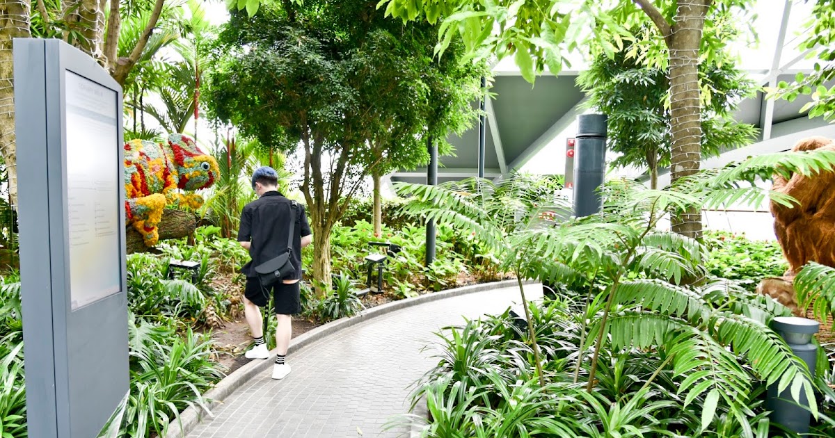 Entree Kibbles: Topiary Walk in Canopy Park @ Jewel Changi Airport ...