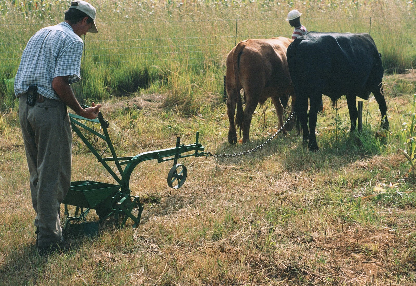 Animal traction: the use of draught animal power