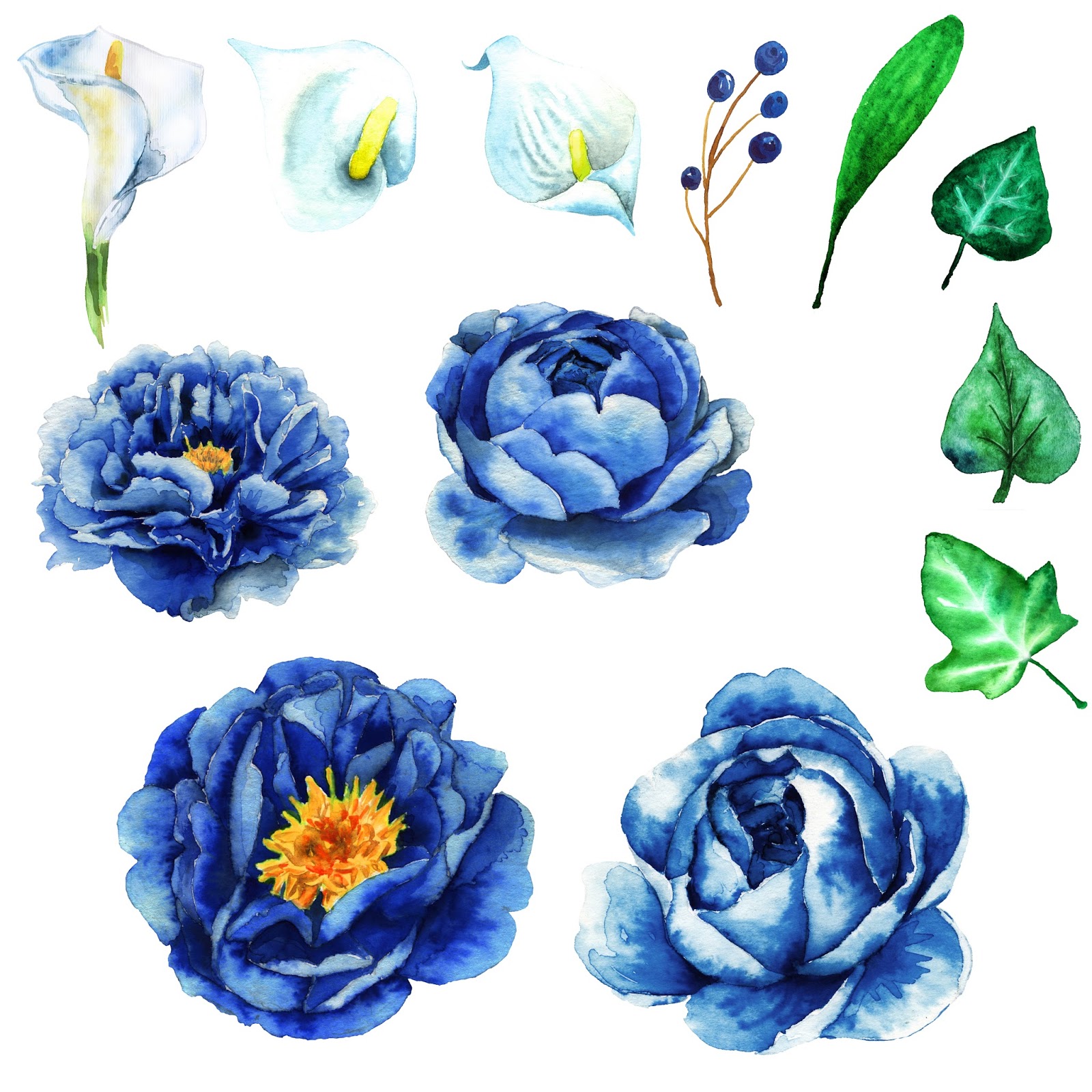 Katona Dóra: Watercolor Deep Blue & White Flower Bundle