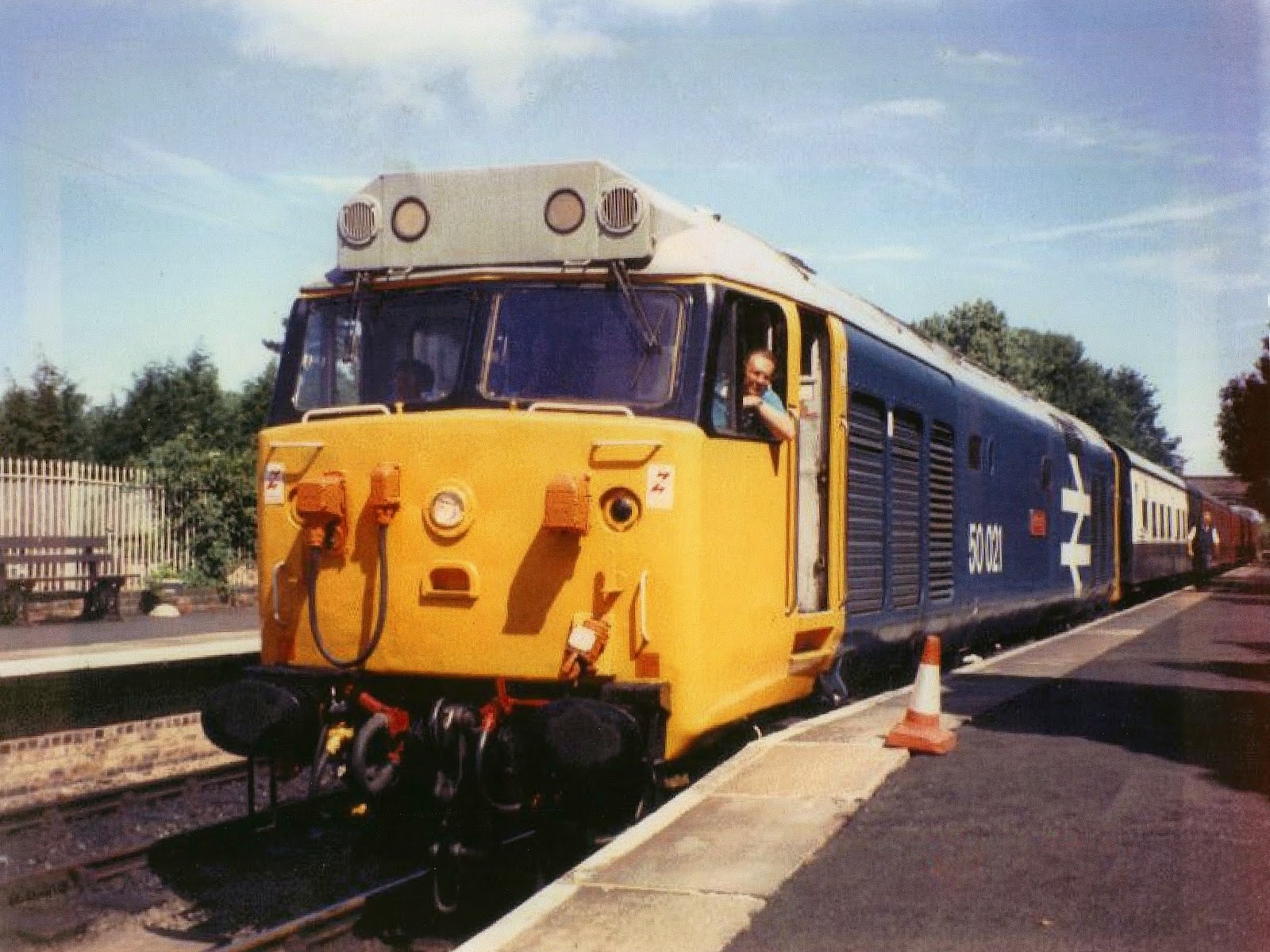 Extension Blog: Progress with the turnout at last