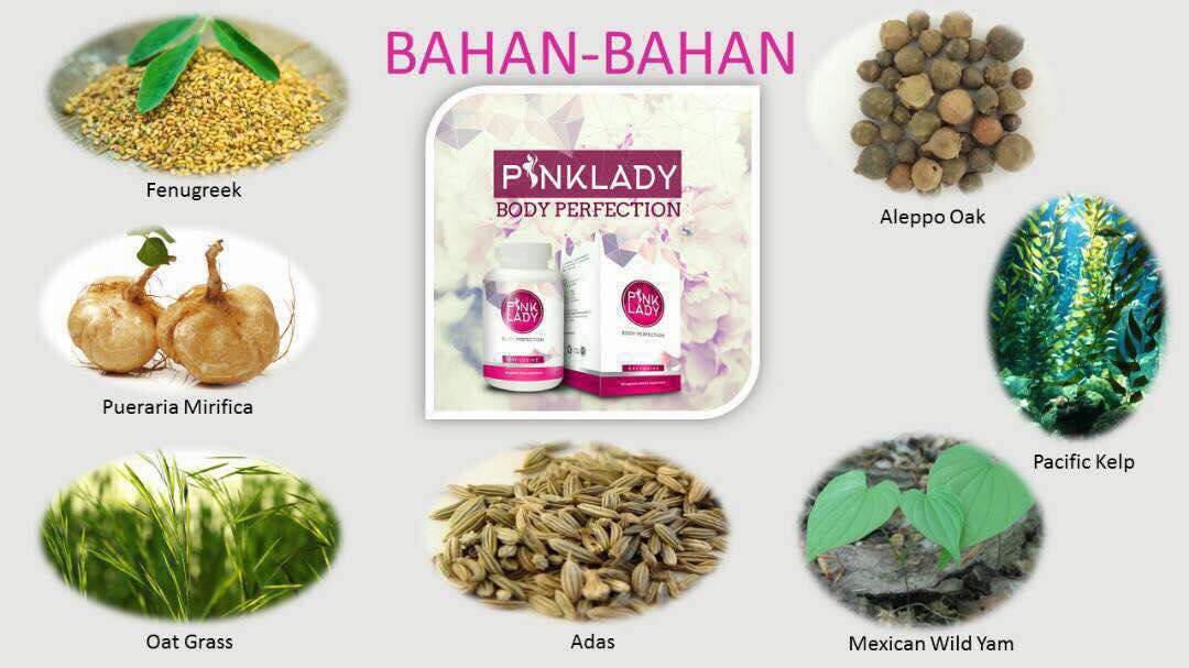 Pink Lady Beauty health: BAHAN-BAHAN DALAM PINKLADY
