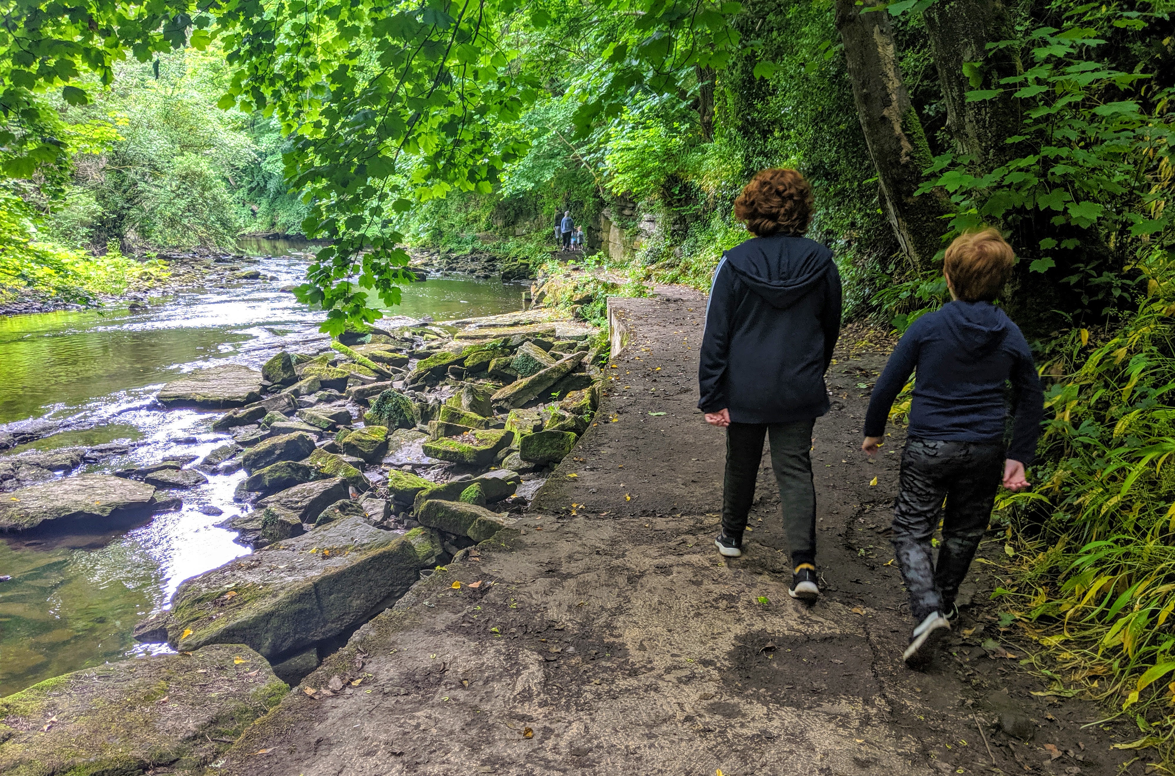 Bedlington Country Park Riverside Walk & Stepping Stones | North East ...