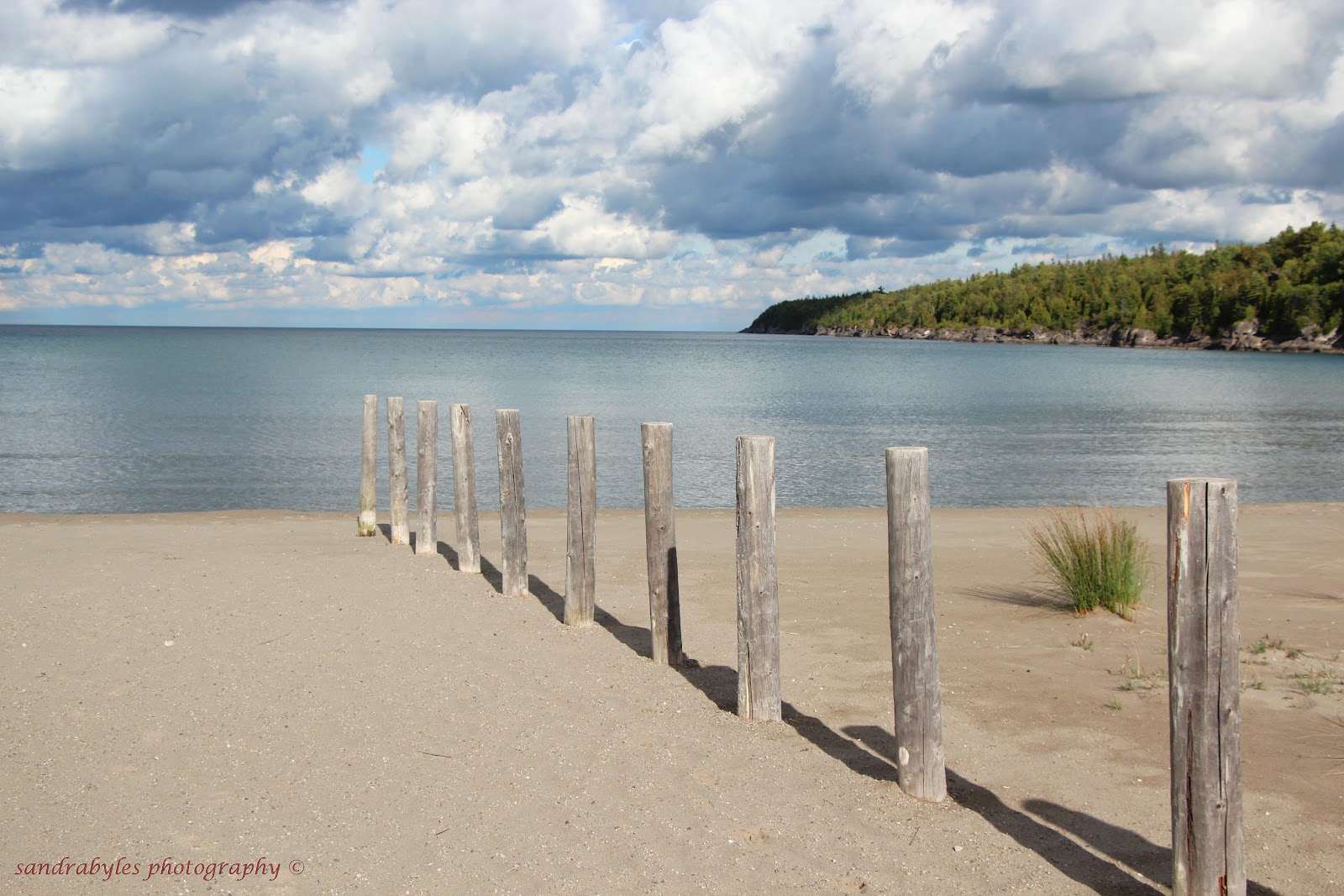 My time in Canada: Bruce Peninsula - Reflections and Nature