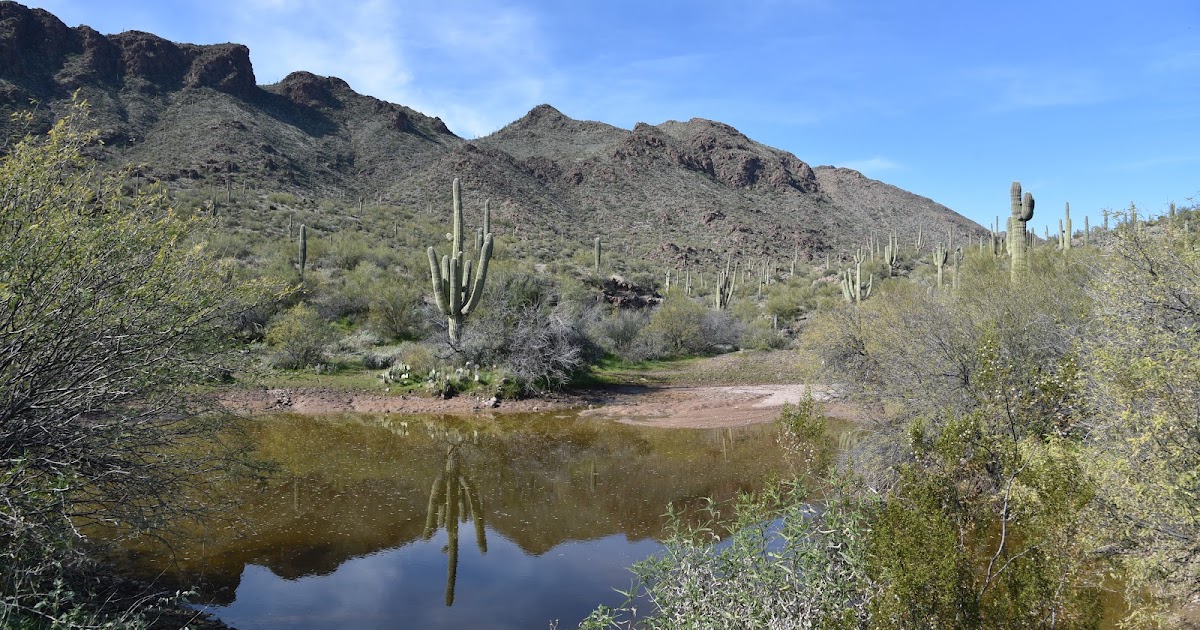 Arizona Hiking: SPRING VALLEY TRAIL