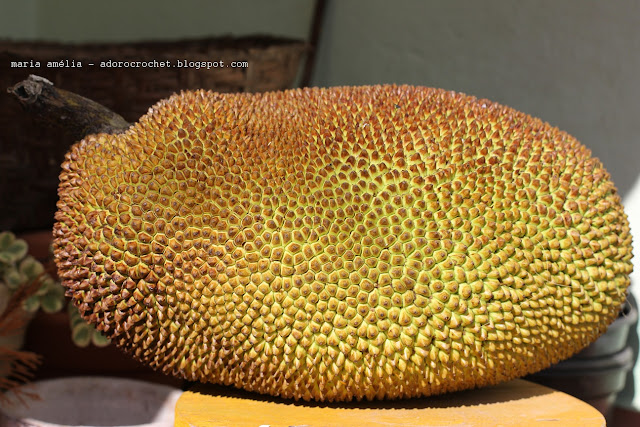 Adoro Crochê, Costura, Artesanato, Fotografia, Culinária, Jardinagem..♥ ...