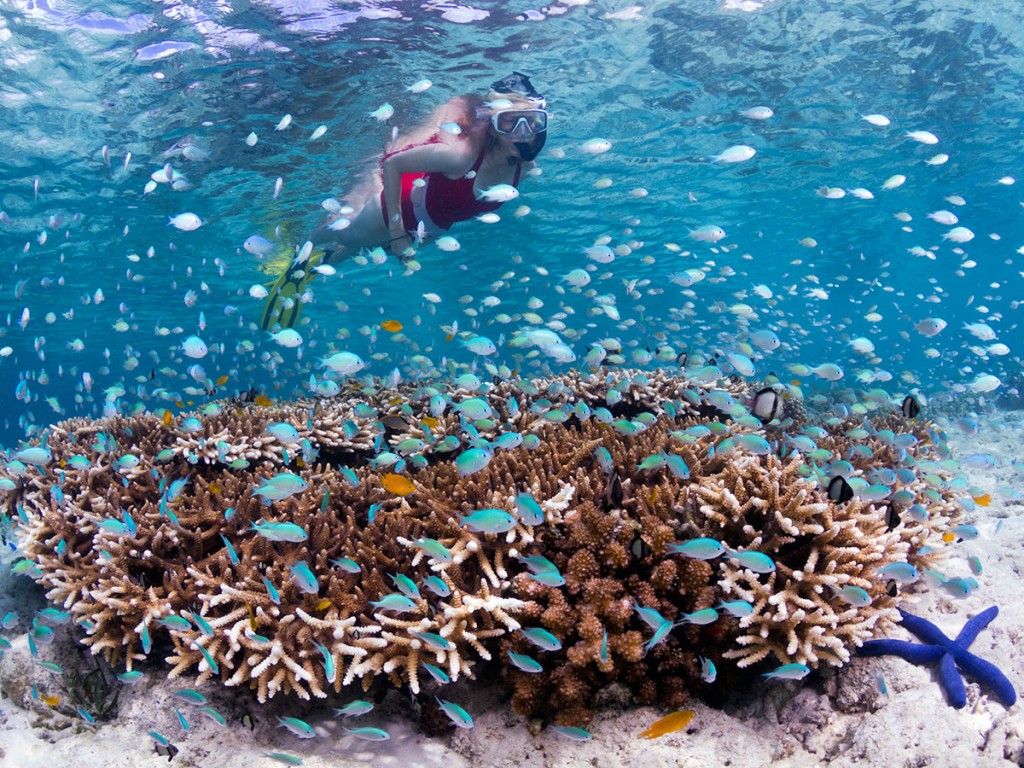 Wakatobi National Park, Indonesia (with Map & Photos)