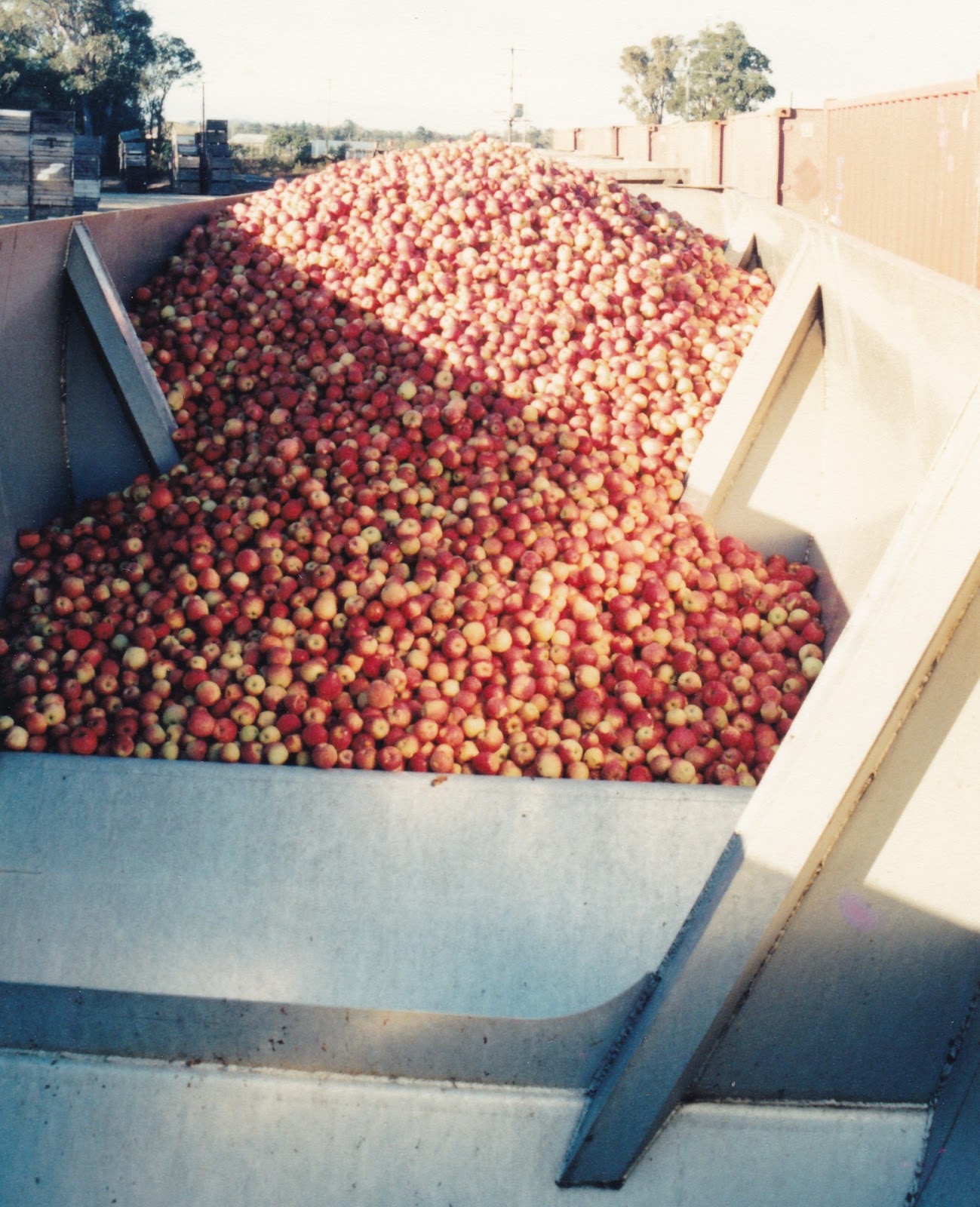 Westgate - South Western Rail: Bulk Apples on QR
