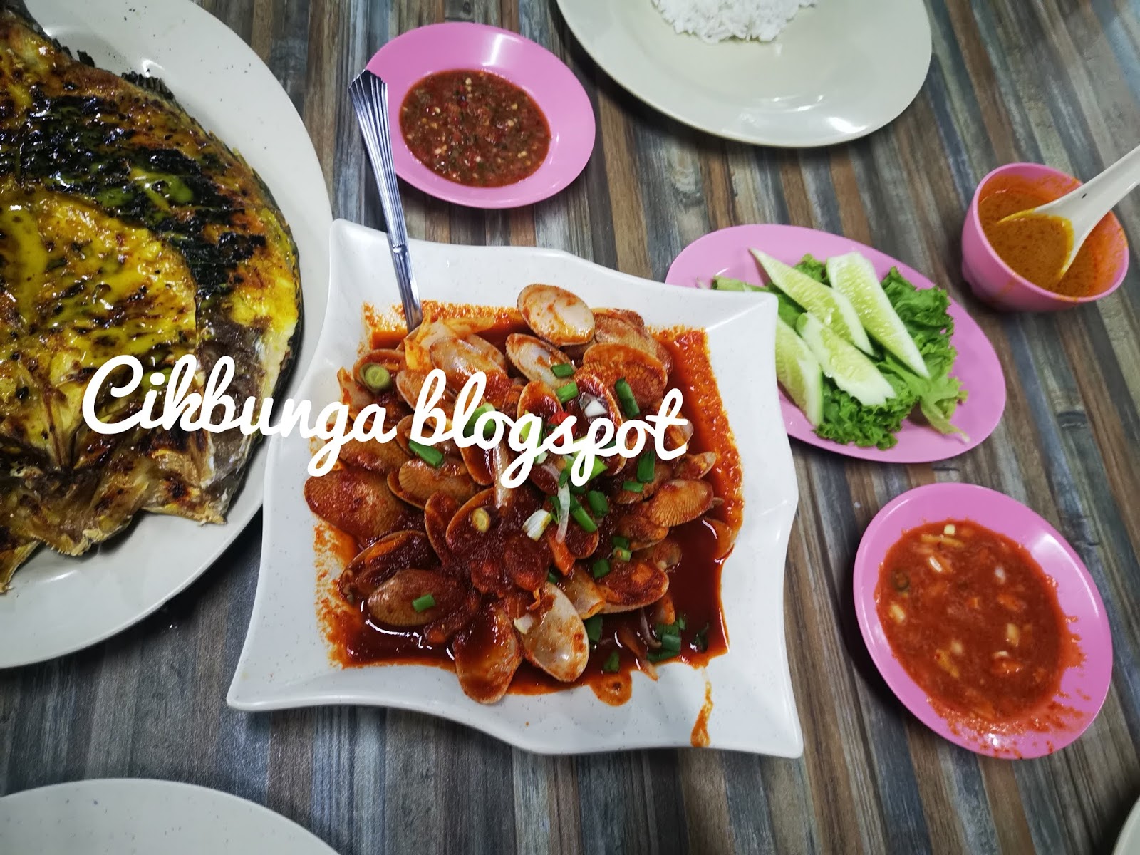 Cik Bunga a.k.a ciktim: Api-Api Ikan Bakar Kuala Perlis - Tempat makan ...