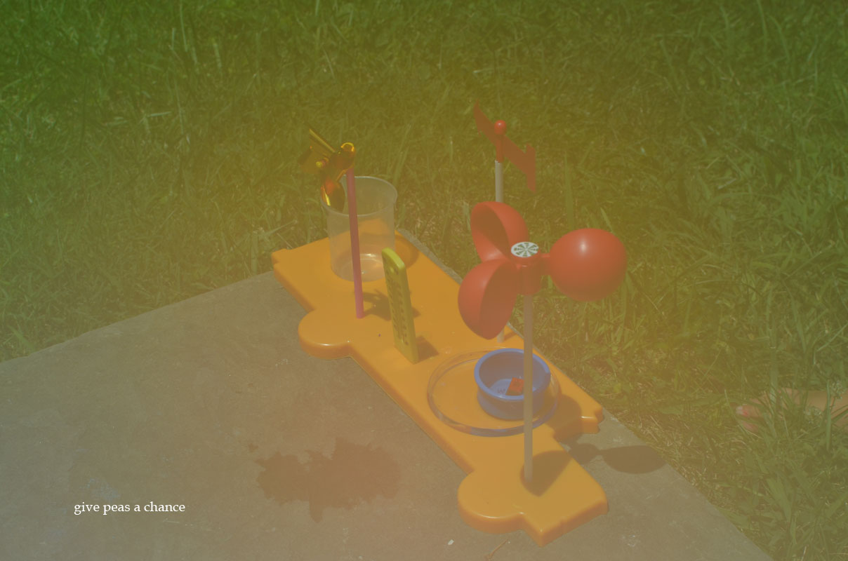 Give Peas a Chance: Young Scientist Club- Magic School Bus Lab #Giveaway