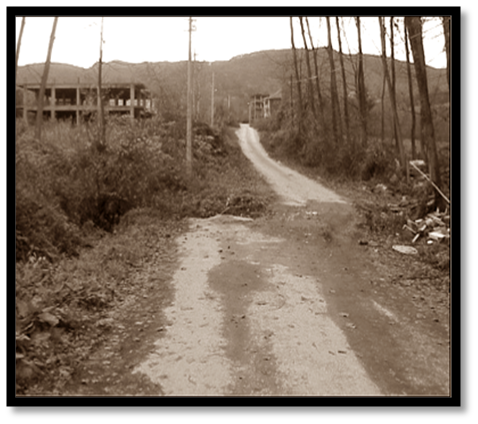 MENGENAL MACAM-MACAM SESAR ~ GEOPEDIA