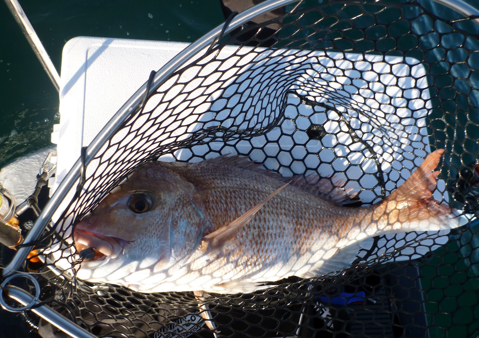 Jet ski fishing Blog: August 2012