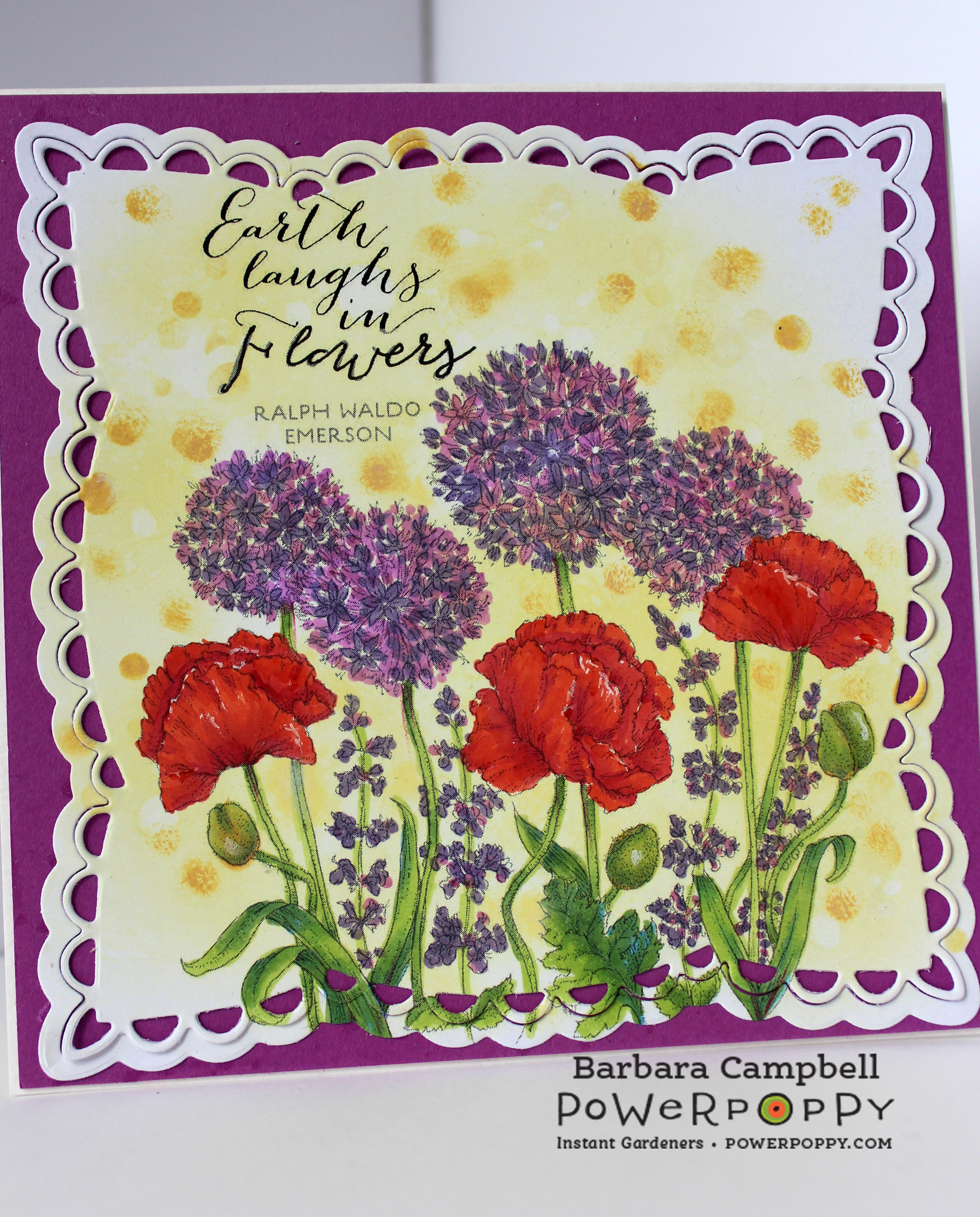 My Creative Room : Power Poppy Friday Fun Day