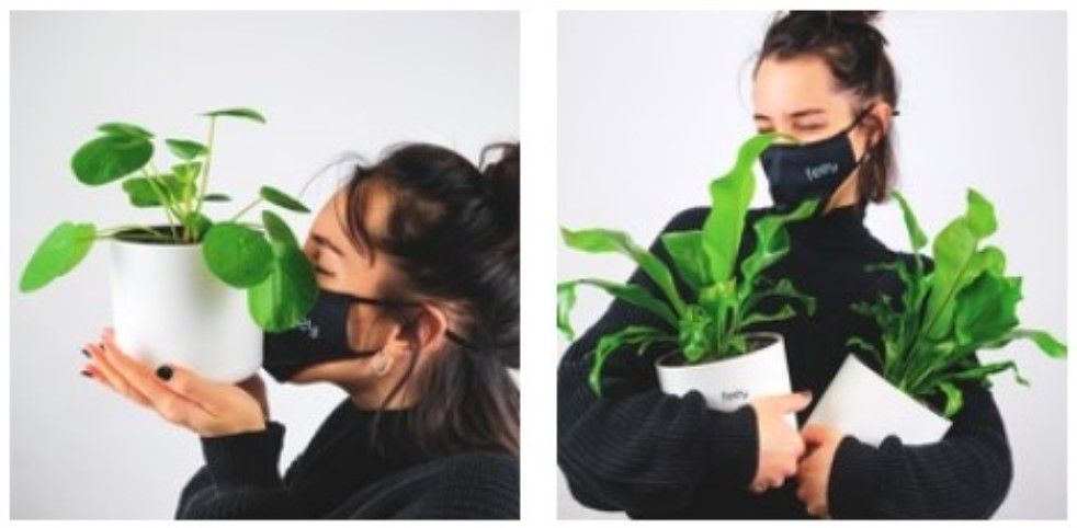 Bring The Plants In - Love for Indoor Plants