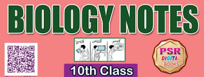 10th Class Biology Notes (EM&TM) – New Syllabus - PSR Digital Books ...