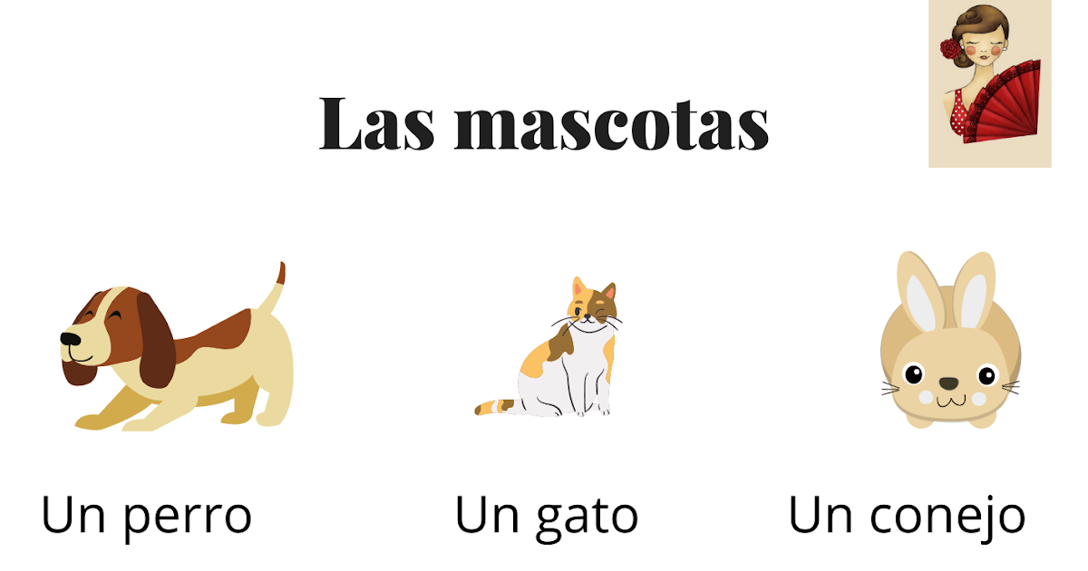 ¡Todos adictos al español!: Vocabulaire - Las mascotas