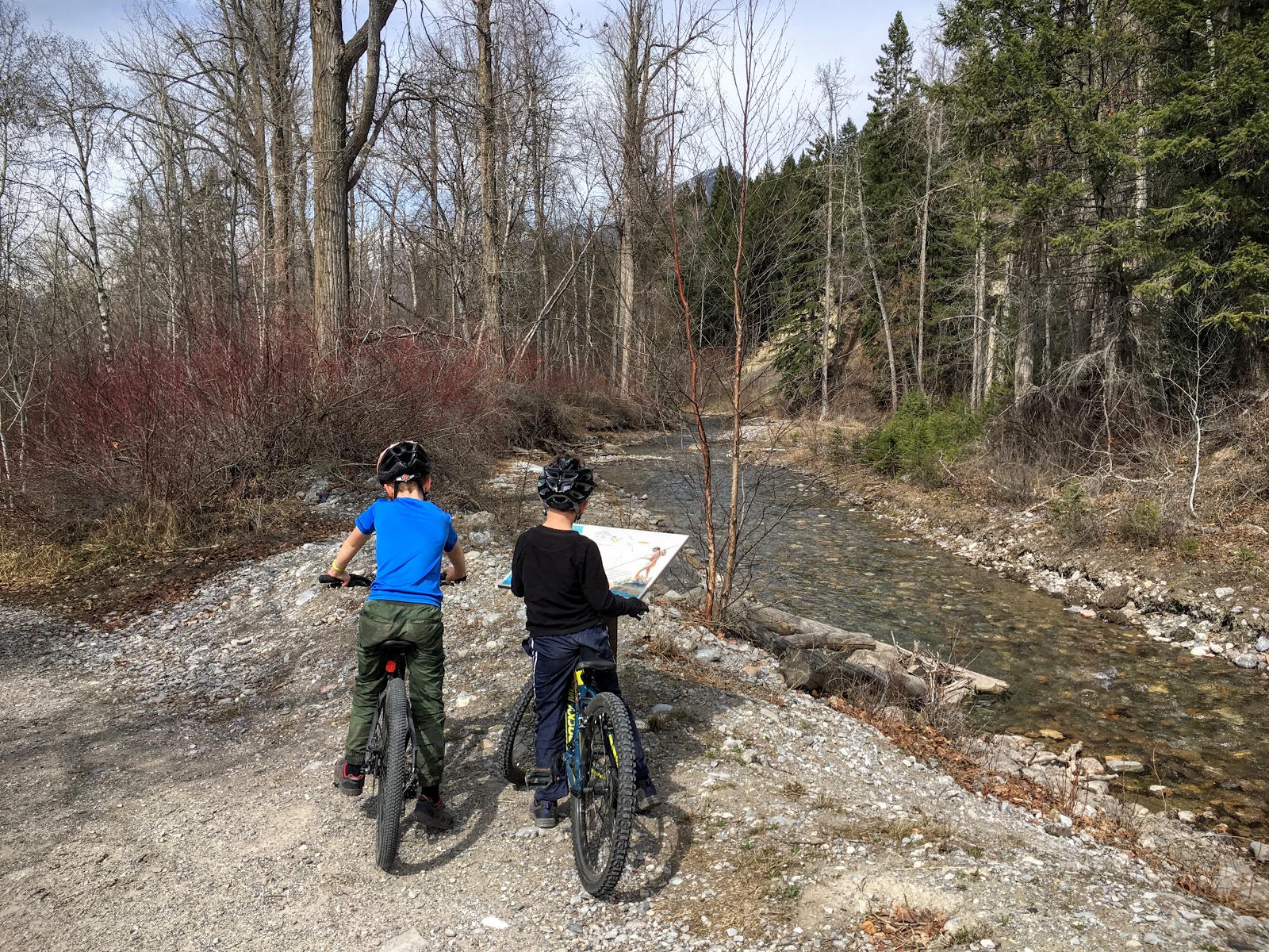 Family Adventures in the Canadian Rockies: Active Family Guide to ...