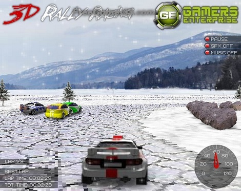 3D Rally Racing- Free Download Information