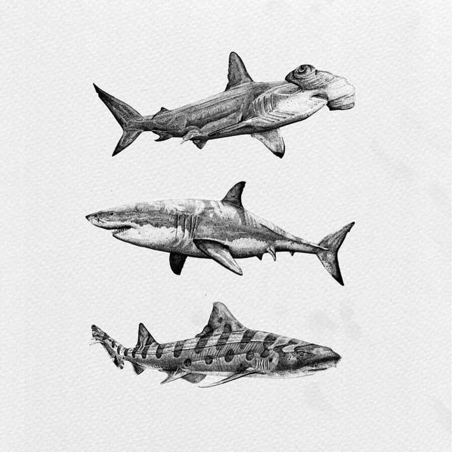 Design Stack: A Blog about Art, Design and Architecture: Ink Drawings ...