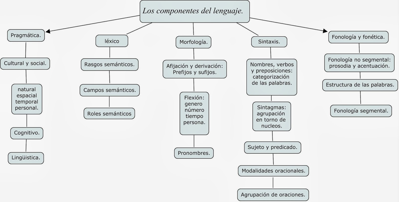 Aurora FH: Los componentes del lenguaje.
