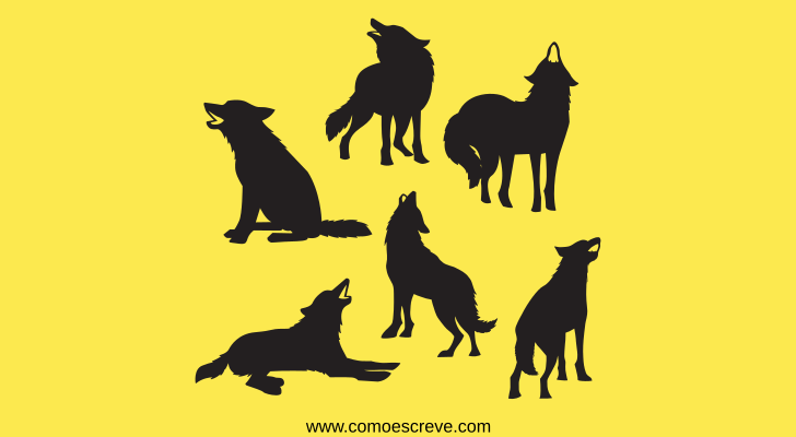 Coletivo de lobos: Matilha ou alcateia? | Como Escreve?