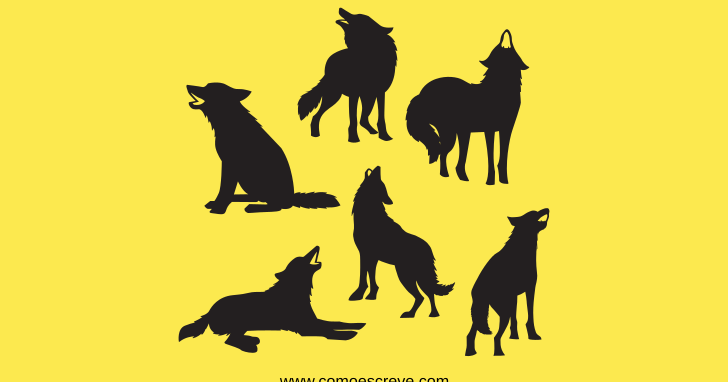 Coletivo de lobos: Matilha ou alcateia? | Como Escreve?