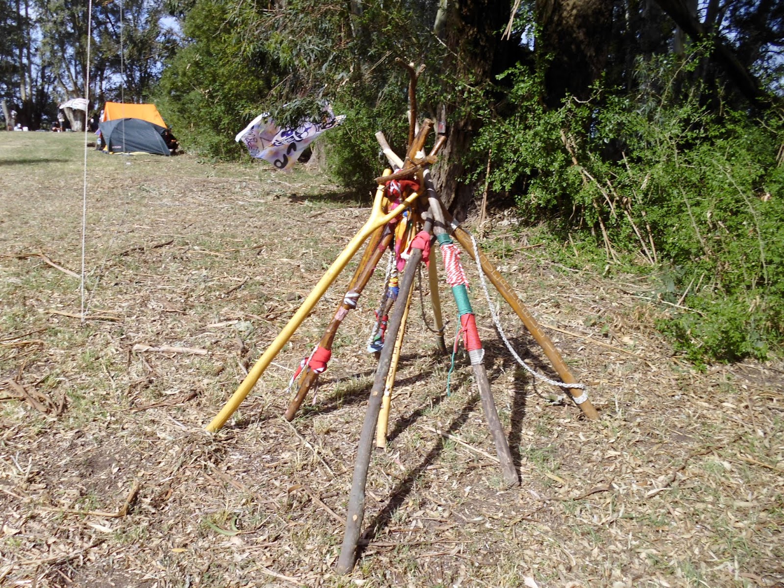 TIGRE BLANCO: El CAYADO ROVER...