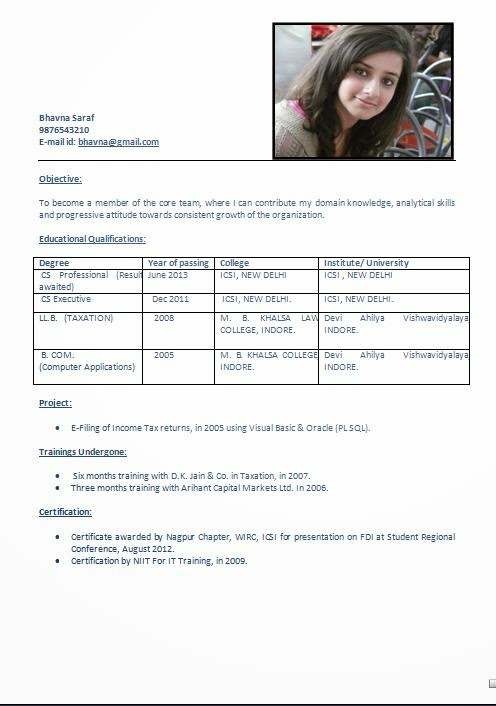 irish cv template - Resume