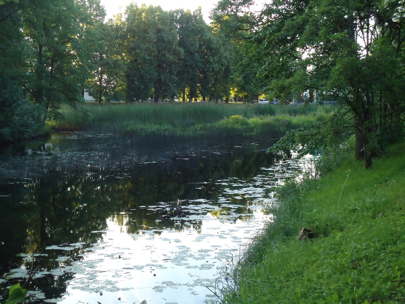 Margit Petersoni kirjalaegas: Ülivinge Belka ja teised armsad loomad