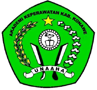 IRSANTO BAHARUDDIN KALEAKO: logo akper pemda konawe