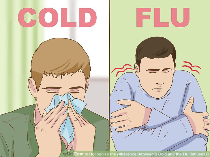 How to prevent colds and flu by inexpensive ways?