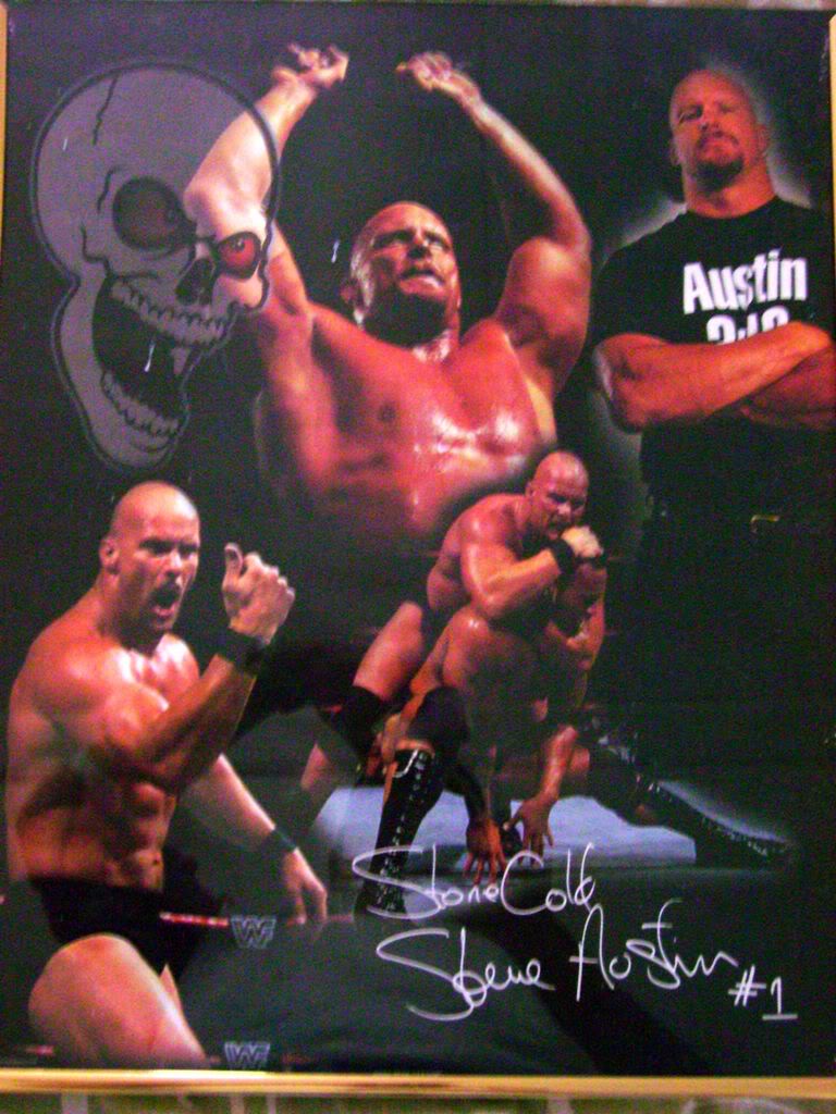 WORLD WRESTLING ENTERTAINMENT: American Professional Wrestler