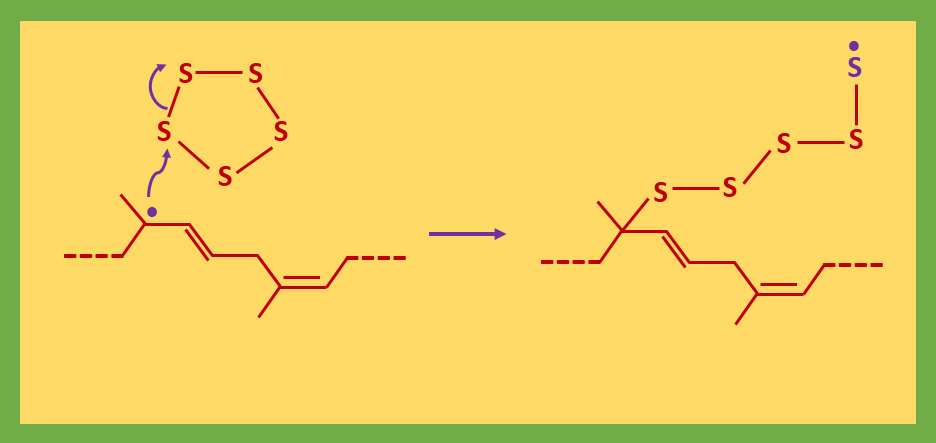 ELEMENTAL CHEMISTRY: Vulcanization of Rubber