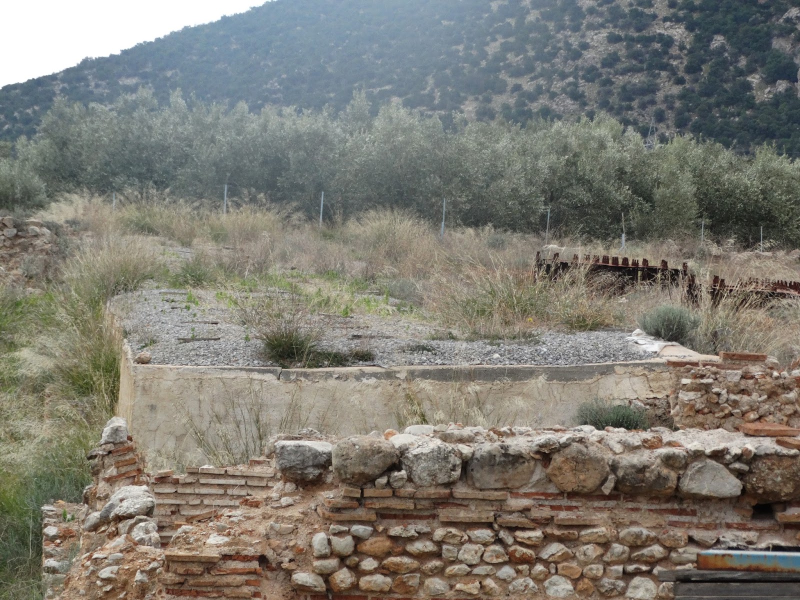 ORTHOLOGIKA: ΚΡΑΝΙΟΥ ΤΟΠΟΣ Η ΒΙΛΑ ΕΥΑ ΣΤΗ ΛΟΥΚΟΥ ΚΥΝΟΥΡΙΑΣ !!! ΑΥΤΟ ΤΟ ...