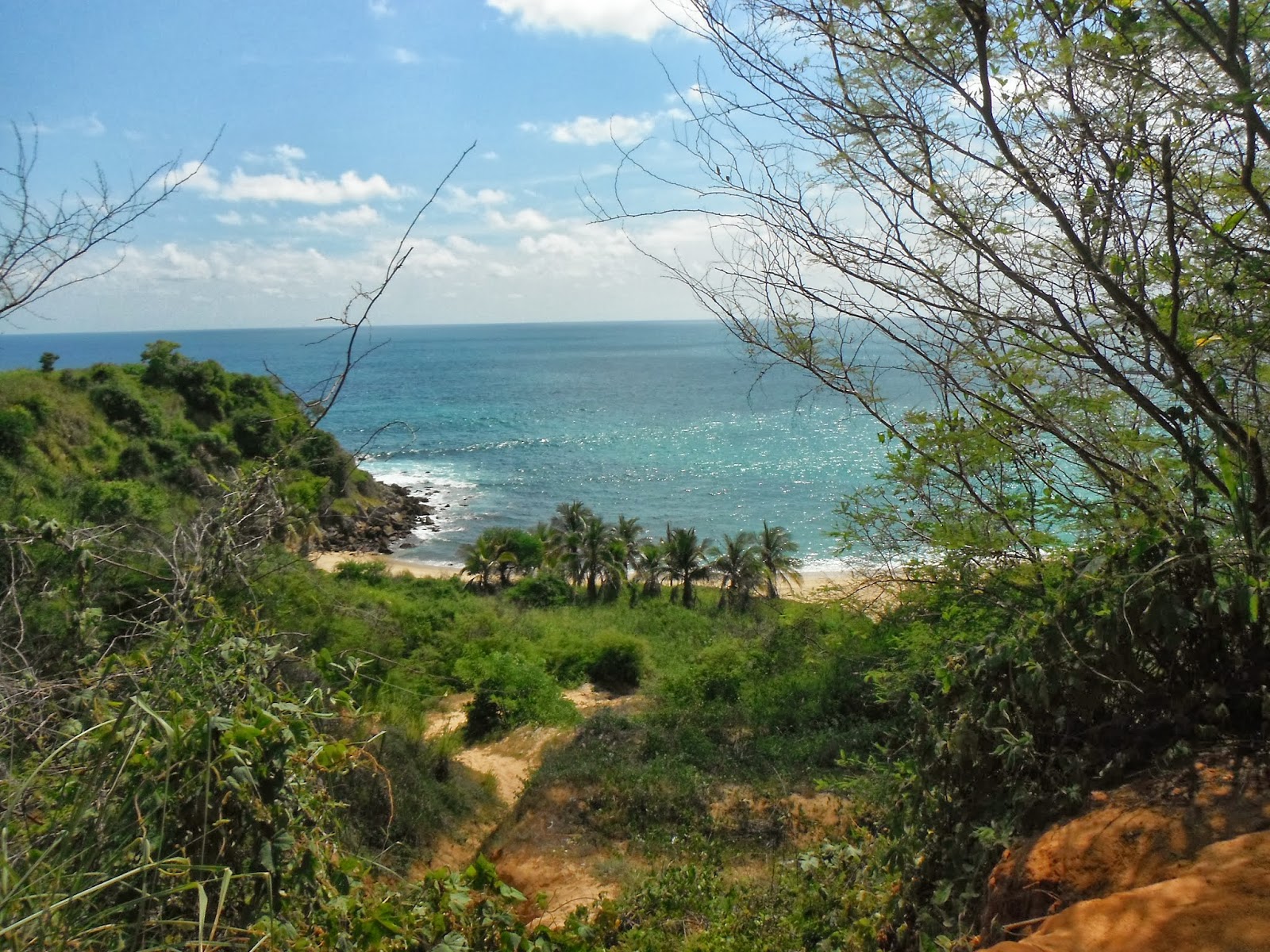 Ecoturismo México: PLaya coral - Puerto Escondido Oaxaca