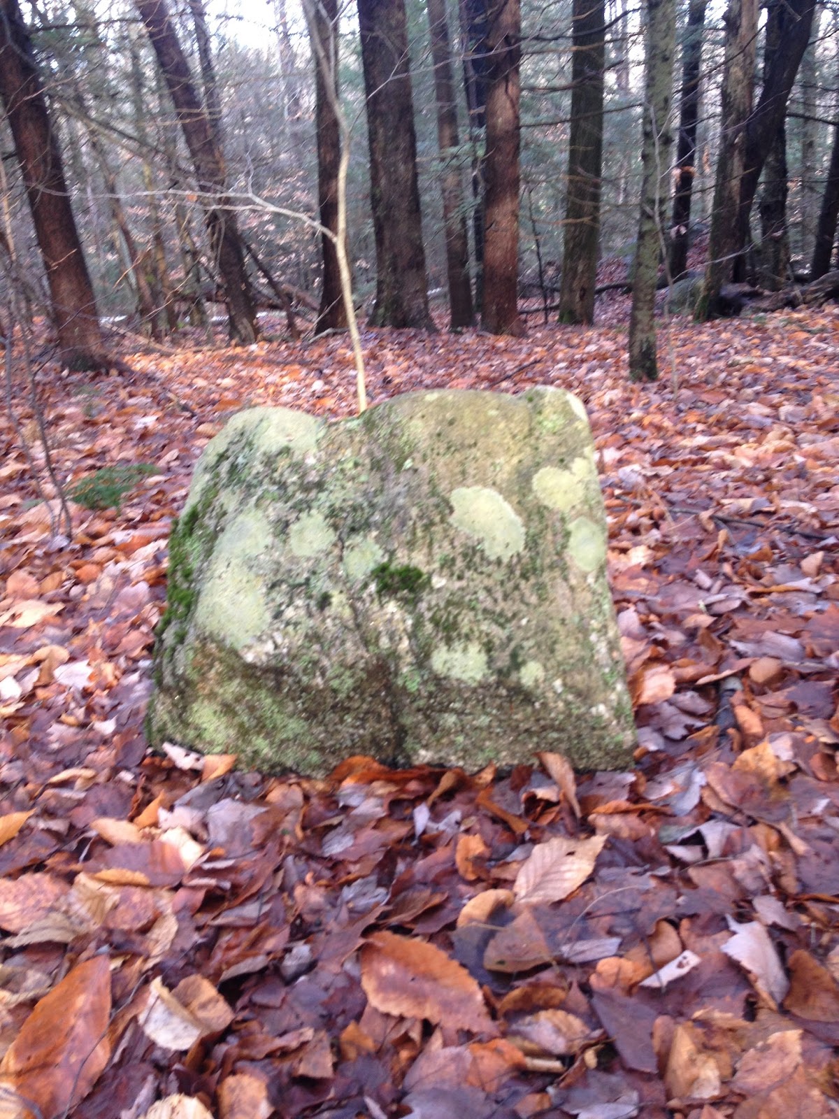 A New England Woodland: Notched Stones
