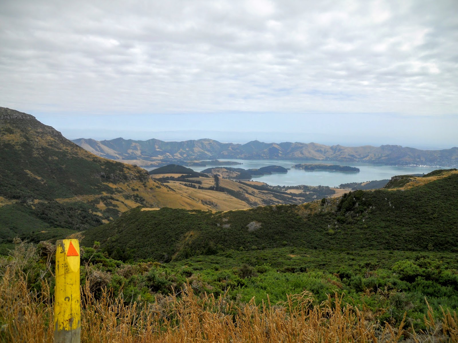 Tramping in the New Zealand backcountry: NZ Bush Adventures: Track ...