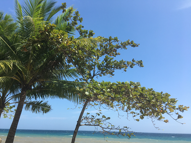 How to go to Catmon Beach, Catmon Cebu