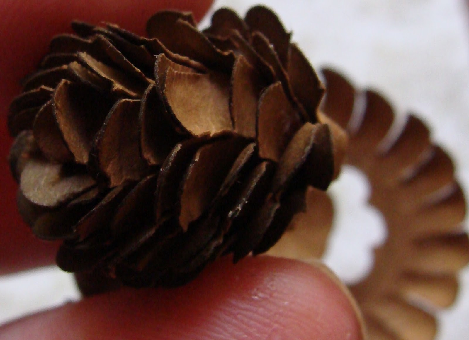 A STROLL DOWN MEMORY LANE: Pine Cones Tutorial