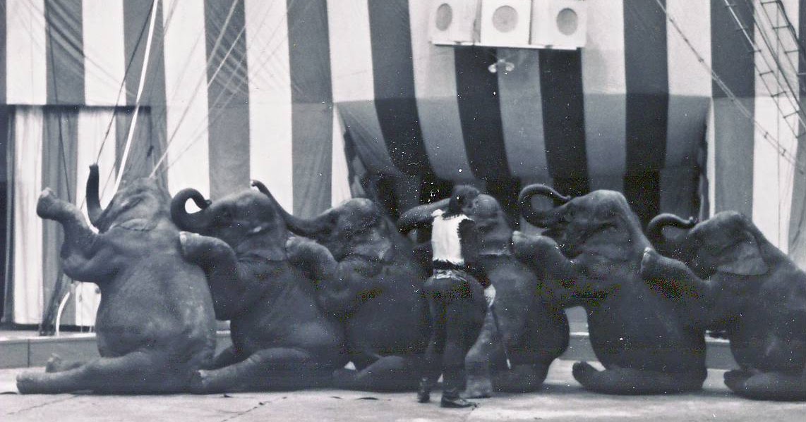 Buckles Blog: #9 Circus World