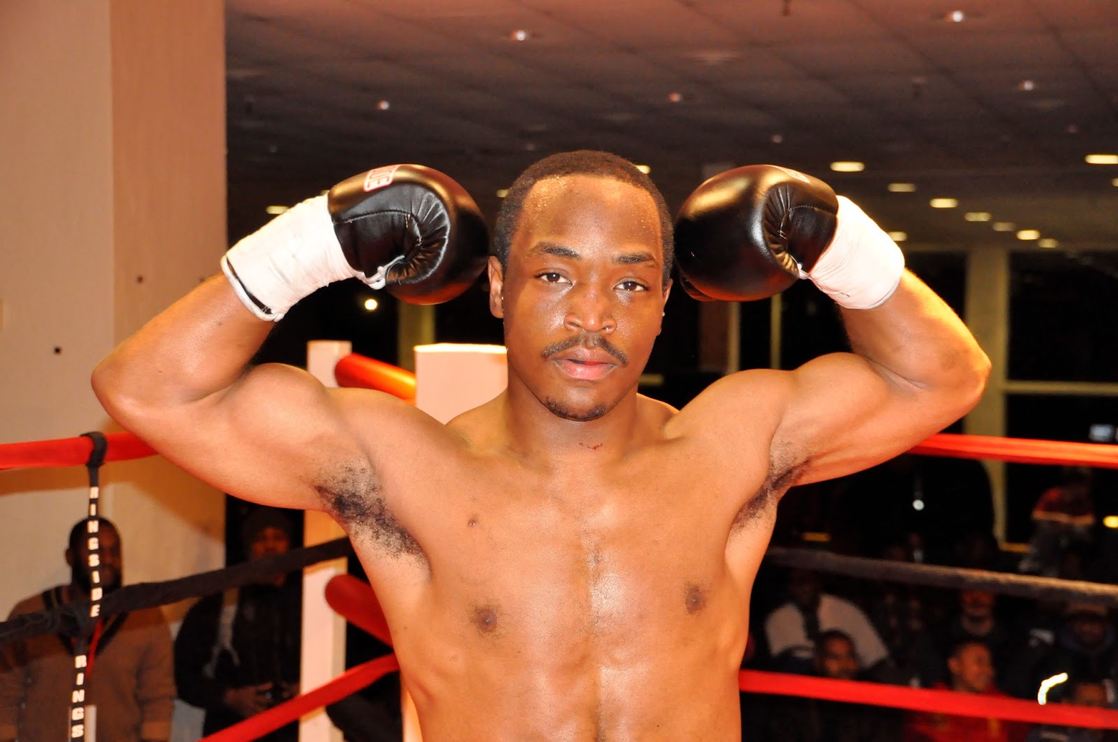 Boxing Along The Beltway: Reed Makes Explosive Pro Debut With First ...
