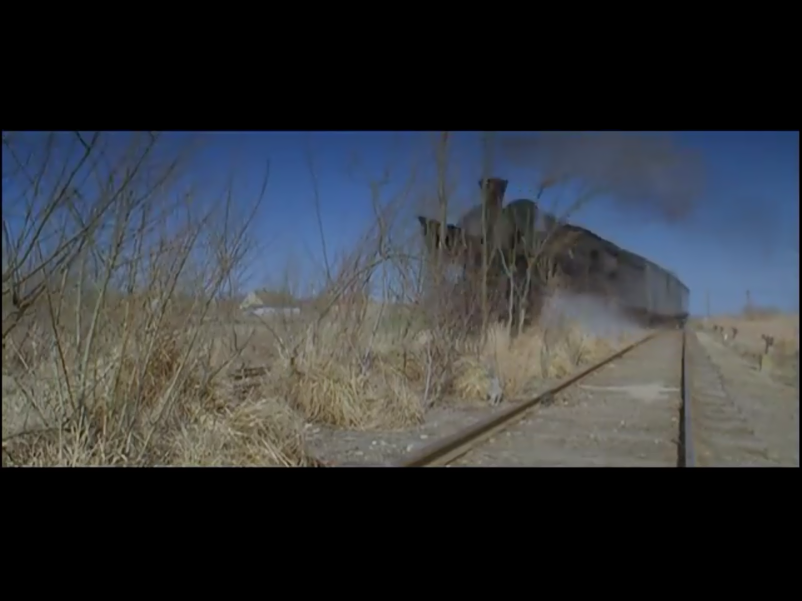 Senseless Cinema: "2,000 Years Is But a Sneeze" - Amok Train (1989)