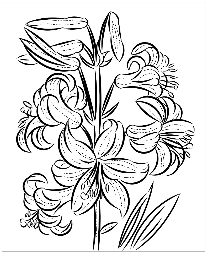 Nicole's Free Coloring Pages: LILIES * COLORING PAGE