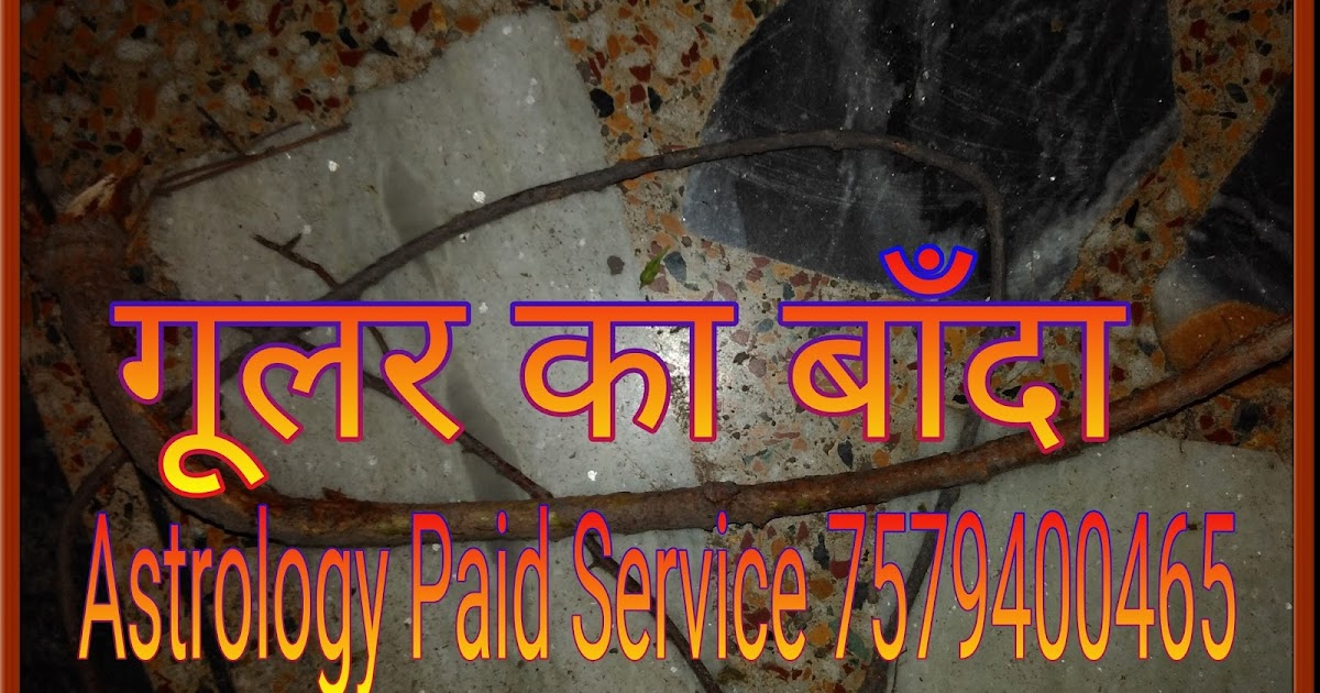 Jyotish and Tantra : Ravi pushya Tantrik herbs रवि पुष्य नक्षत्र ...