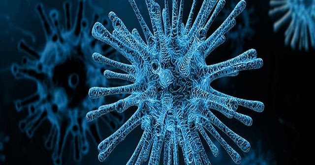 Infectious Diseases: Symptoms, Causes, Diagnosis and Treatment - The ...